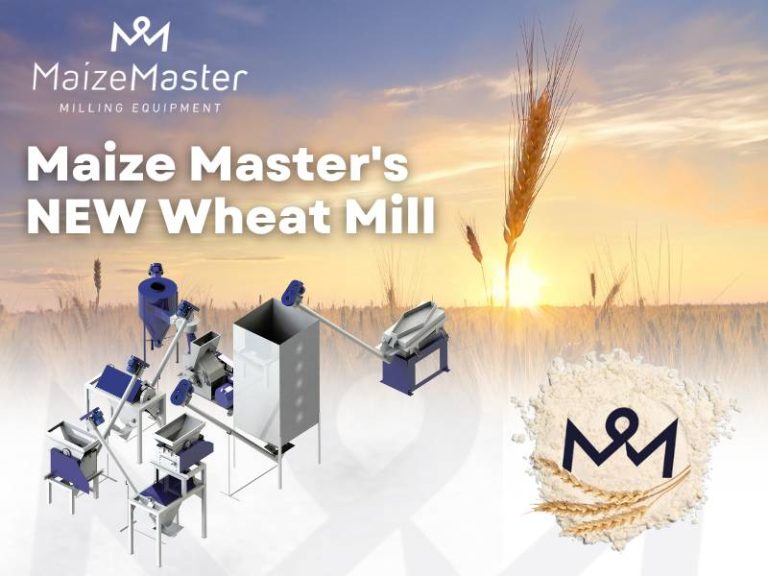 From Maize to Wheat: Maize Master's Game-Changing Milling Innovation ...